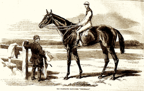 Fran Jurga`s Hoofcare + Lameness: Hooves@War: On this day in 1914 ...