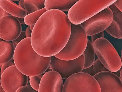 Children of the Night: Vampire cliches and stereotypes