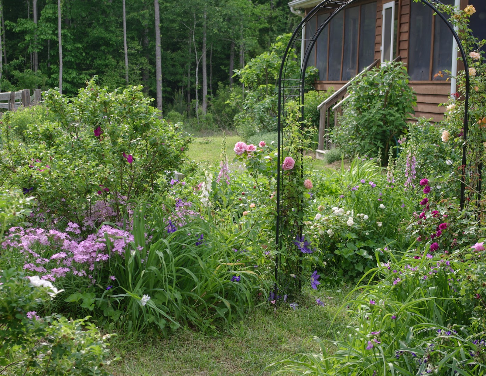 sweetbay: Blooming Friday ~ colors