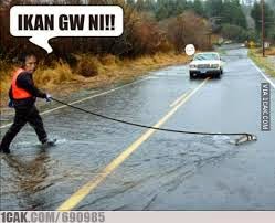 118 Kumpulan Meme Kocak Dan Lucu Greget Mad Dog A.K.A Yayan Ruhian ...