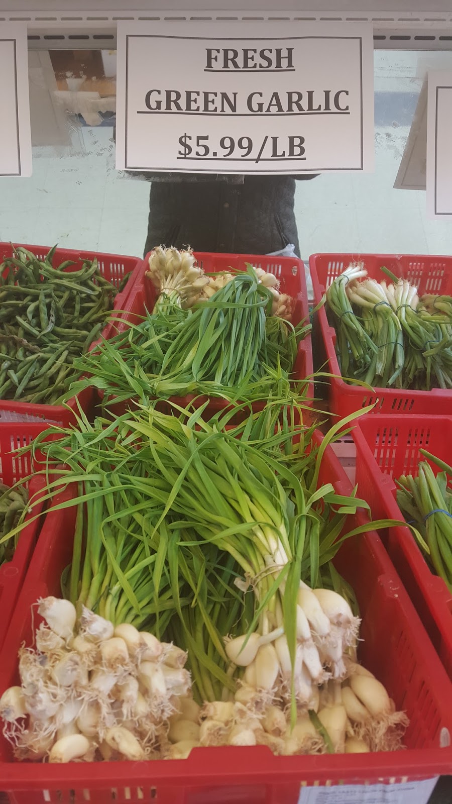 Heena's Kitchen Diaries: How to grow Fresh Garlic at home - Indoors