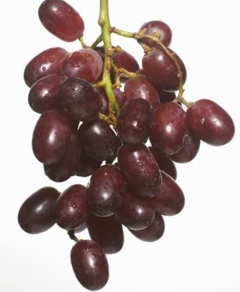 tika kurnia prayoga: Khasiat Buah Anggur Salah Satunya Bisa Bikin Awet Muda