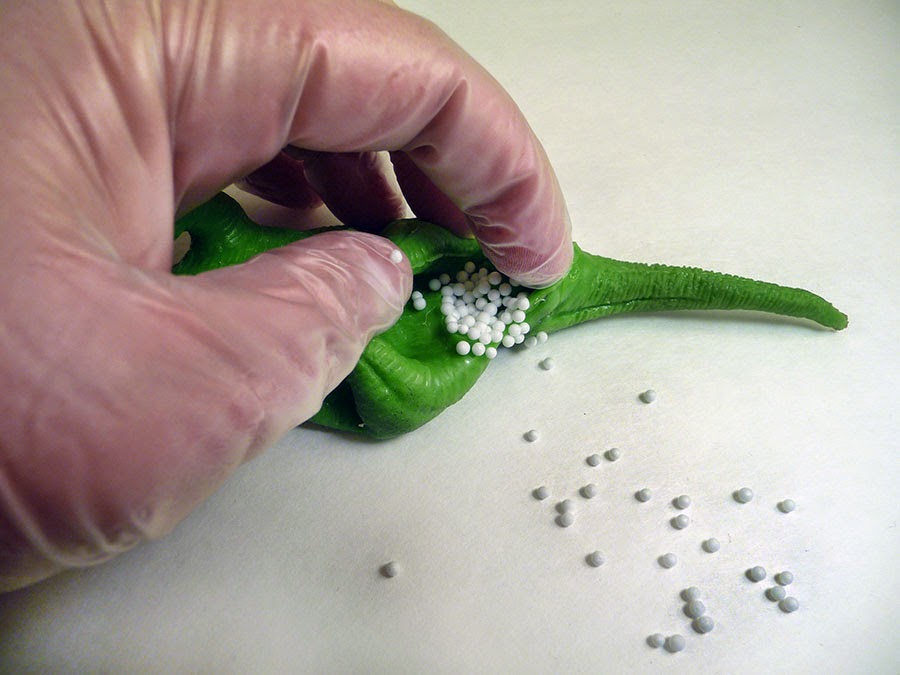 Propnomicon: Preserved Tissue Specimen Tutorial