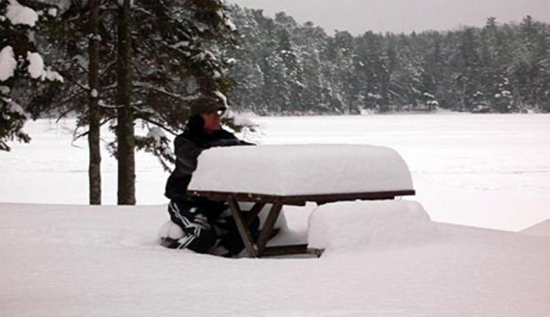 Tony Lossano, etc.: Bring Out The Canarble Wagon...Jim Johnson