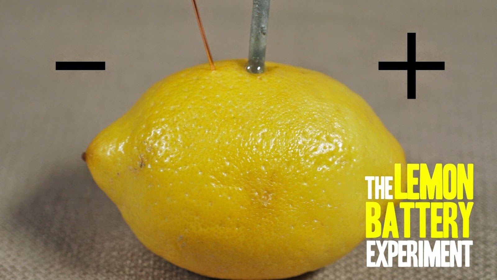 Growing Minds: Survival Tip: How To Make A Battery Out Of a Lemon