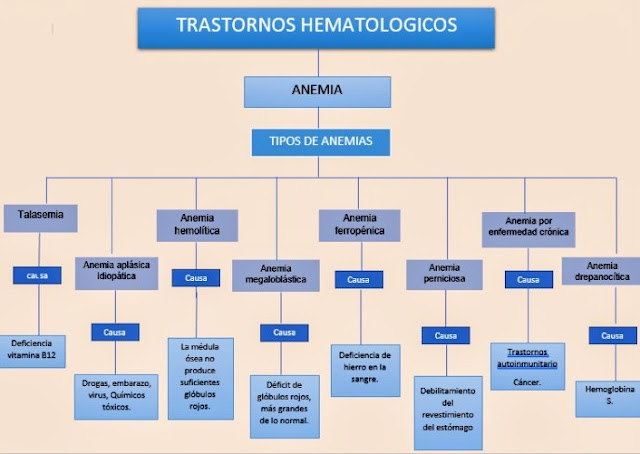 Patología General: Trastornos hematólogicos
