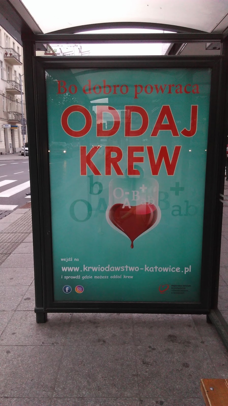 Ania mama Agnieszki: Reklama na przystanku autobusowym - Citylight