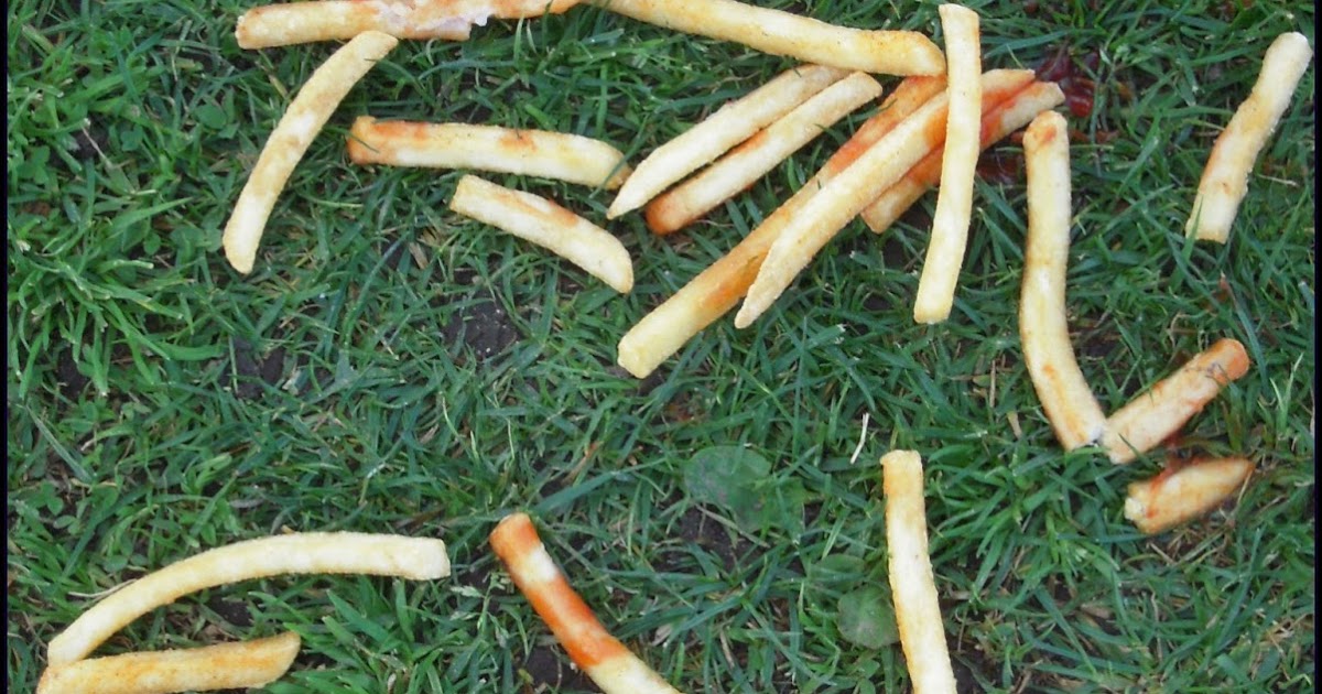 Linda G. Hatton: French Fries and Other Tragedies