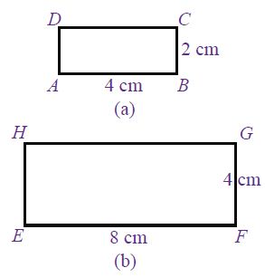 Pengertian dan Contoh Soal Kesebangunan Bangun Datar - INFO PELAJARAN
