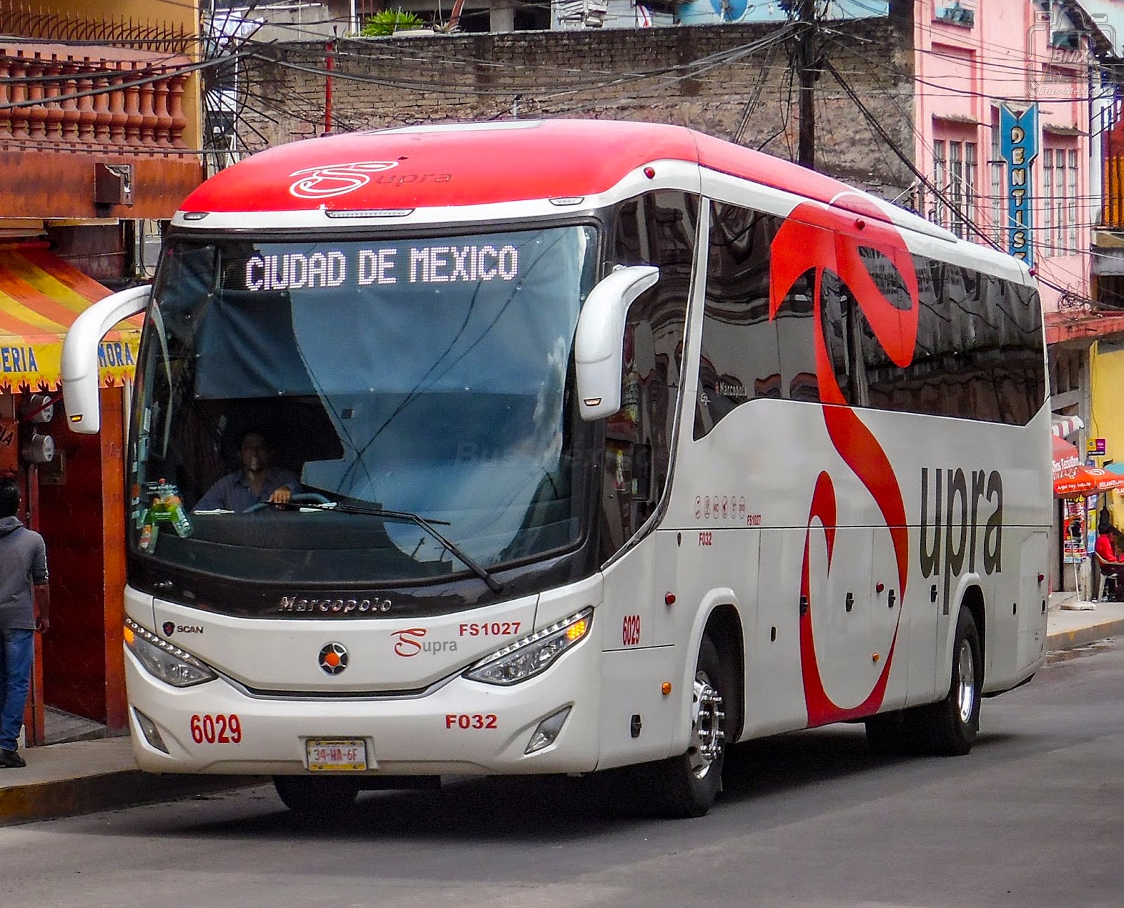 Autobuses Rápidos del Altiplano: Supra - Bus-México