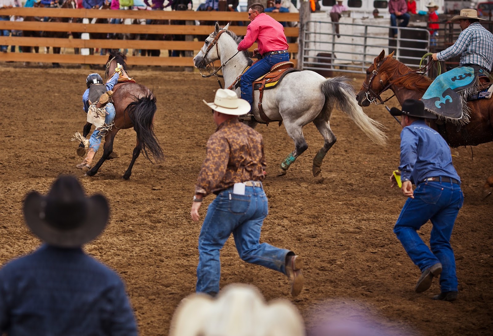 Picture Window photo blog : Junior Rodeo, Long Beach, Wa.