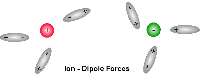 Ion Dipole Examples Of Molecules