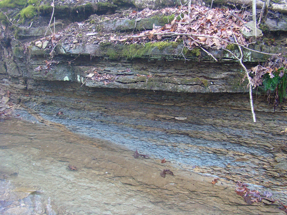 Rurification | Robin Edmundson: Shale