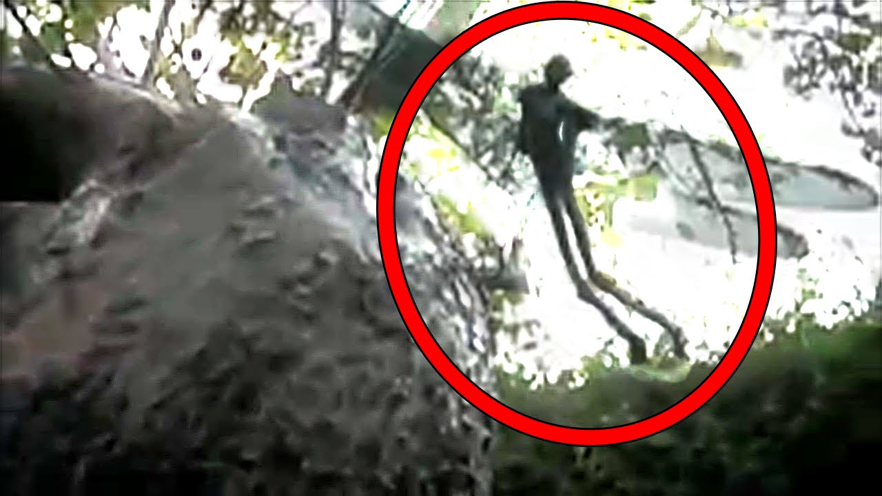 5 Mythical Creatures Caught On Tape