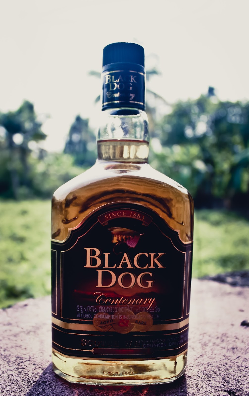 What Is Black Dog Drink