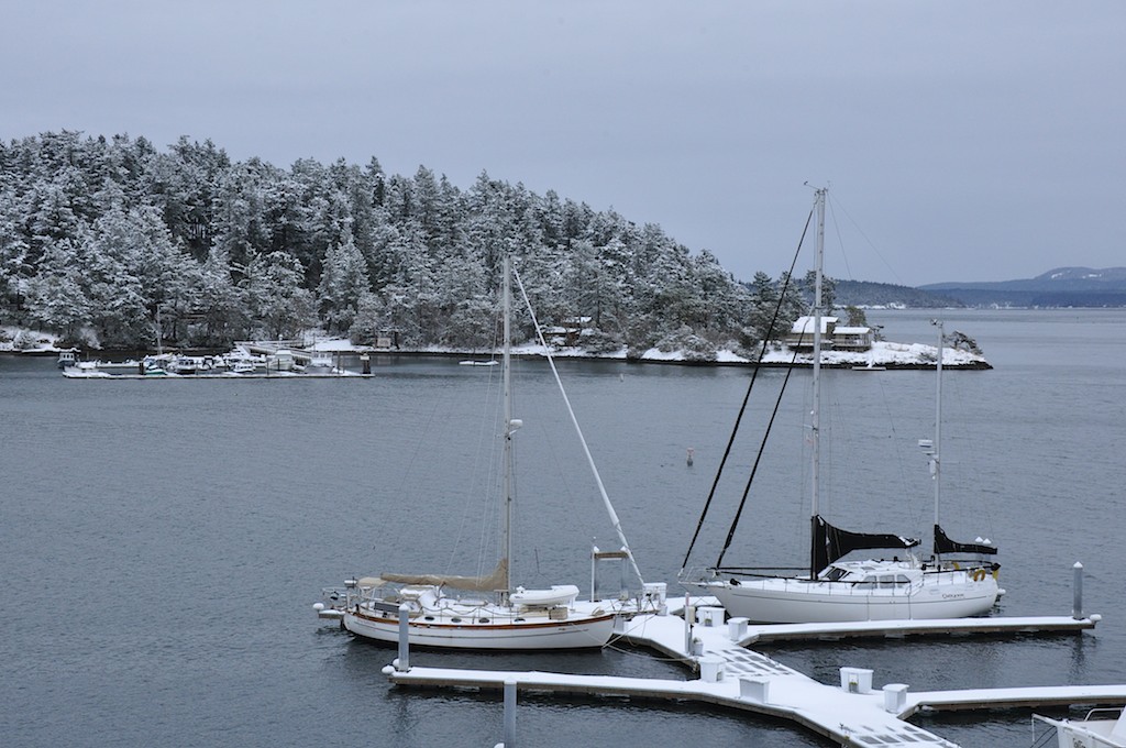 Orca Watcher: Winter Storm Watch