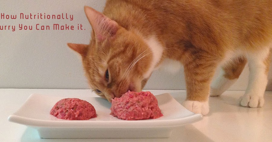DiscountPetCare: Cat Food – How Nutritionally Slurry You Can Make it