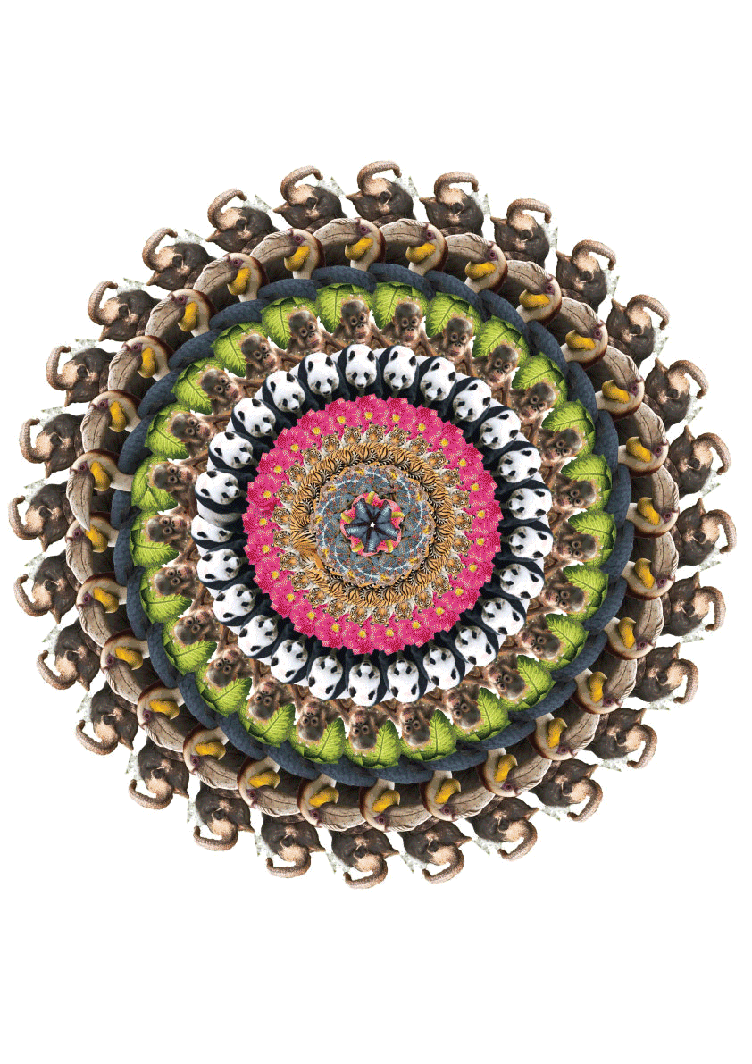 Rachael's Illustration: Deforestation gif