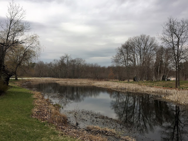 Souvenir Chronicles: HYDE PARK, NEW YORK: ELEANOR ROOSEVELT'S VAL-KILL