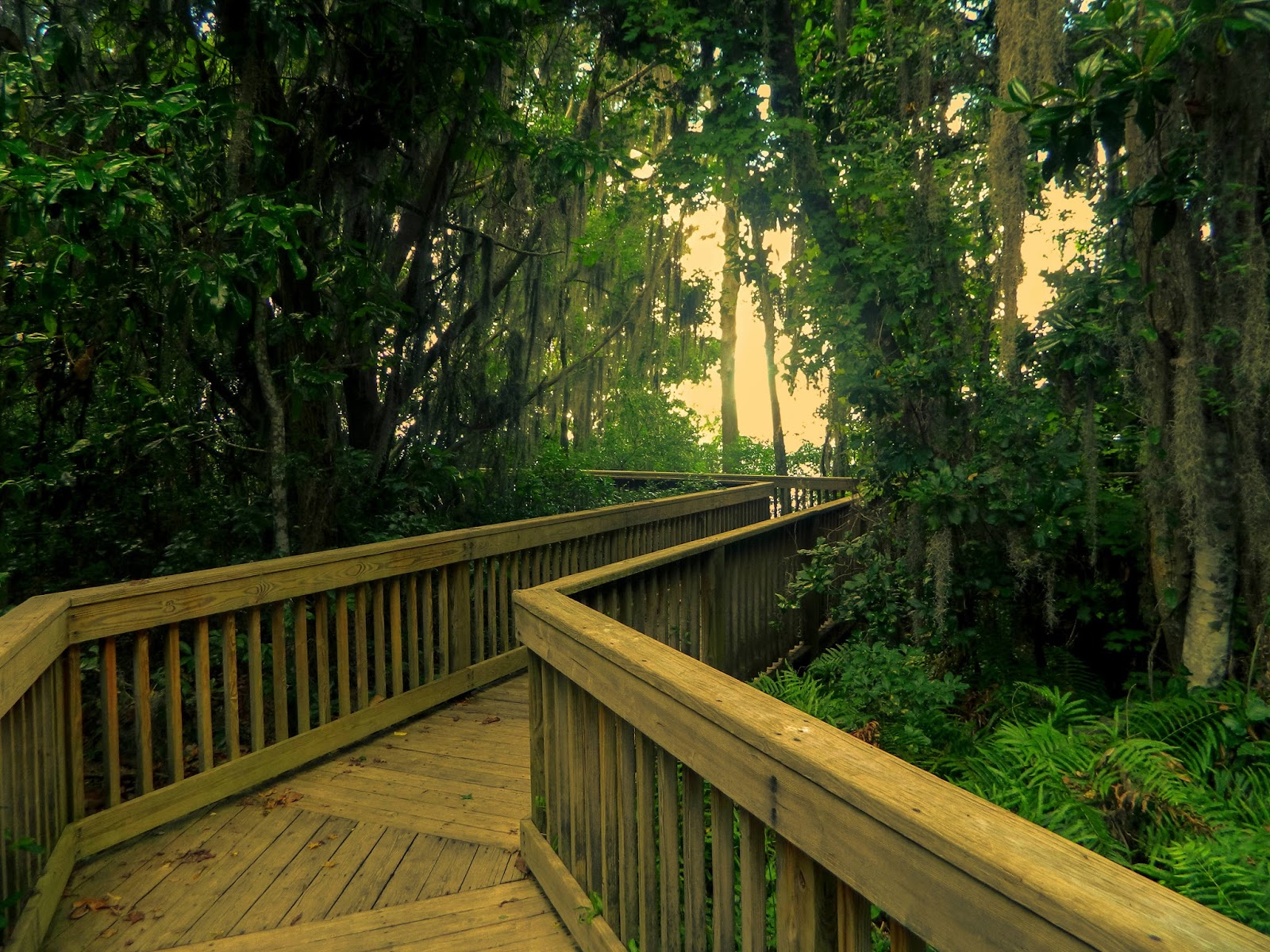 Honey+Arrow: Walter Jones Historical Park