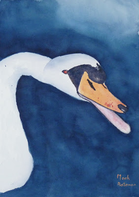 Learning to draw: Learning to see: Short Tempered Swan