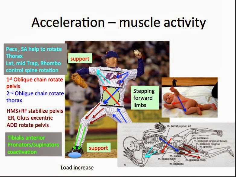 Lost In Fitness: The Functional Movement Symposium (Coffee, Wafels ...