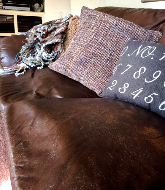 jacki long: Day 2123: The story of the lumpy couch.