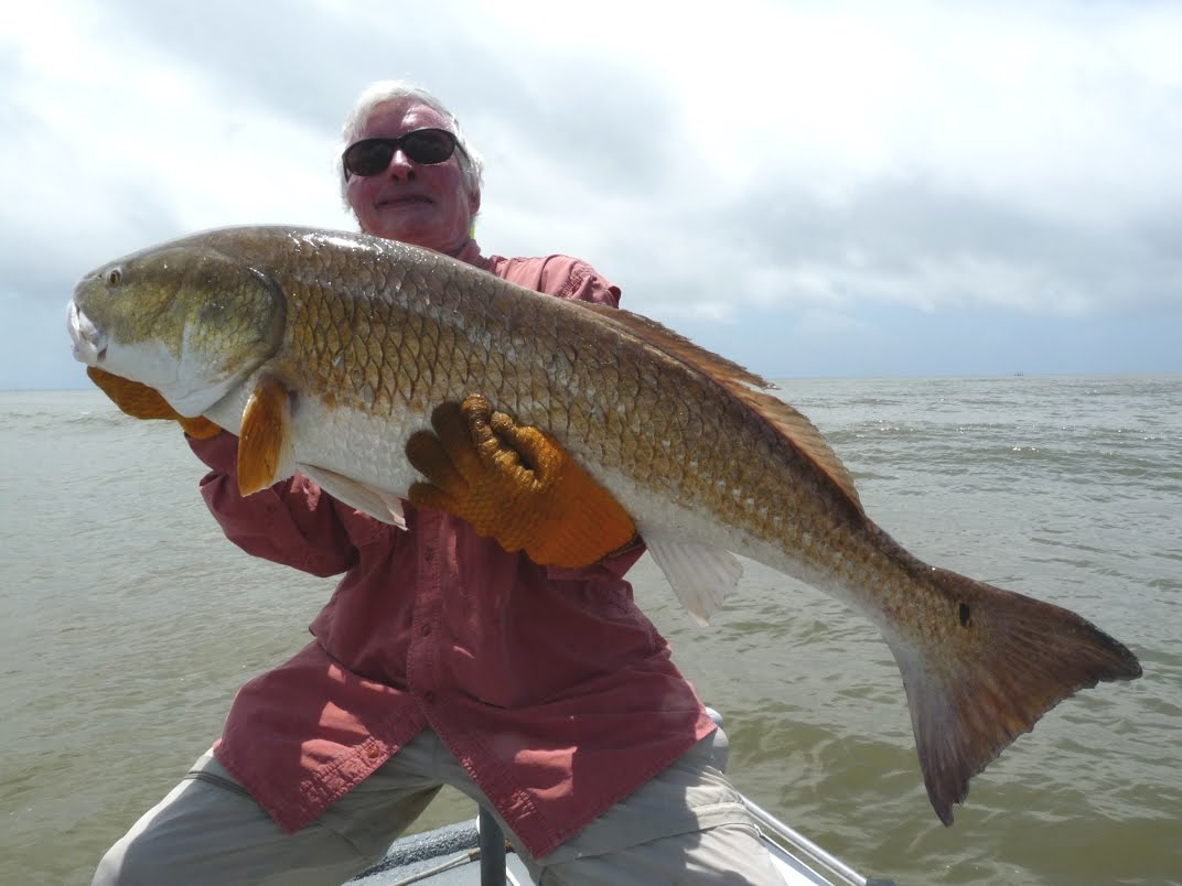 THE FISHING NEWS: Bull Redfish in Venice, LA