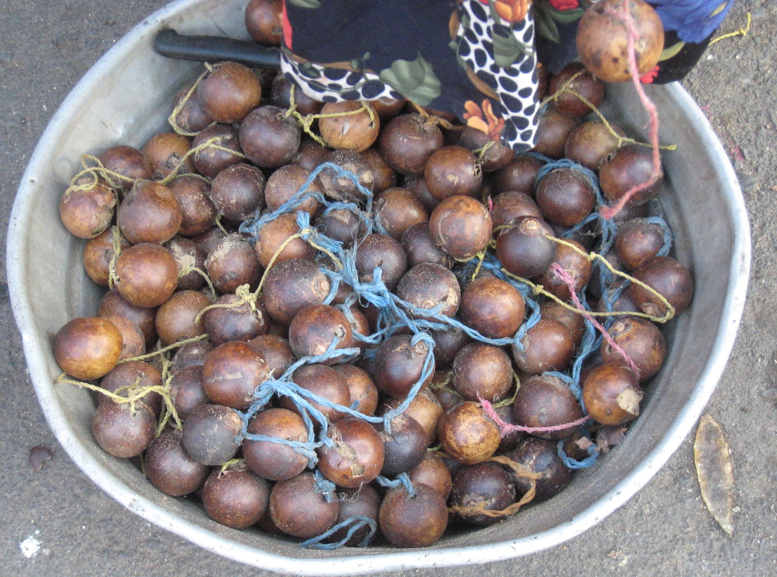 Not all who wander are lost: Día de la Cruz – Day of the Cross