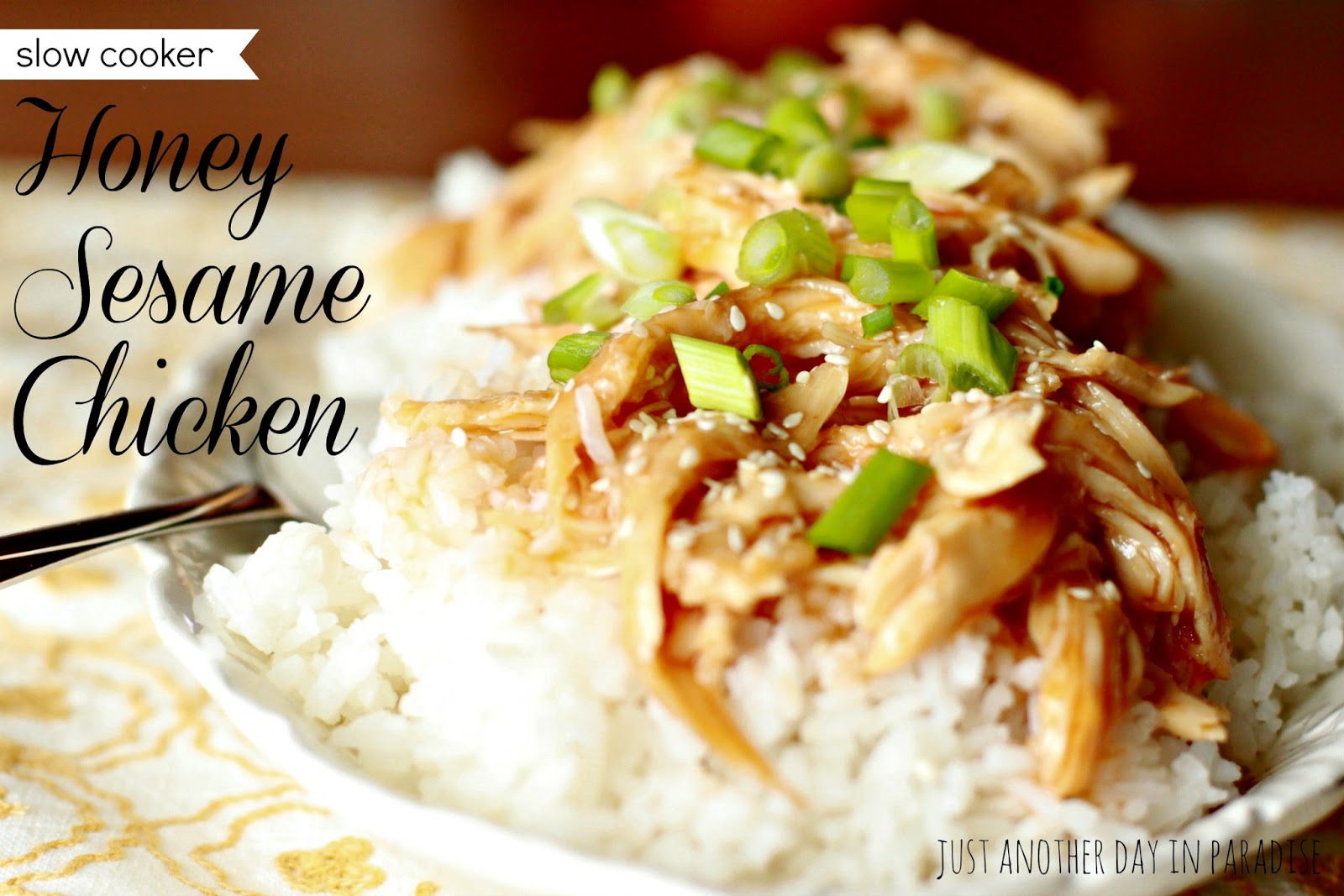 Larissa Another Day: Slow Cooker Saturday: Honey Sesame Chicken