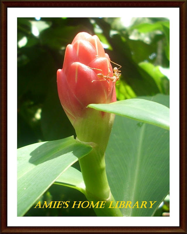 WELCOME TO AMIE'S HOME LIBRARY: Bunga Halia Hutan