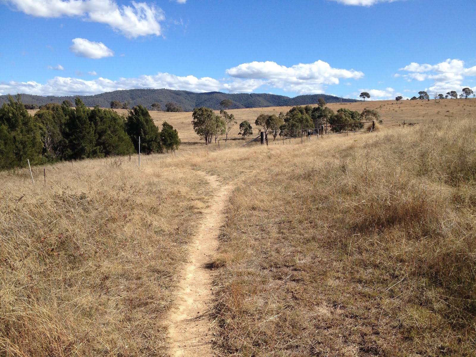 Phil's Bushwalking Blog: Murrumbidgee Corridor: Red Rocks