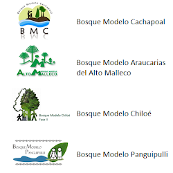Bosques Modelo de Chile: Delegación del Bosque Modelo Panguipulli ...