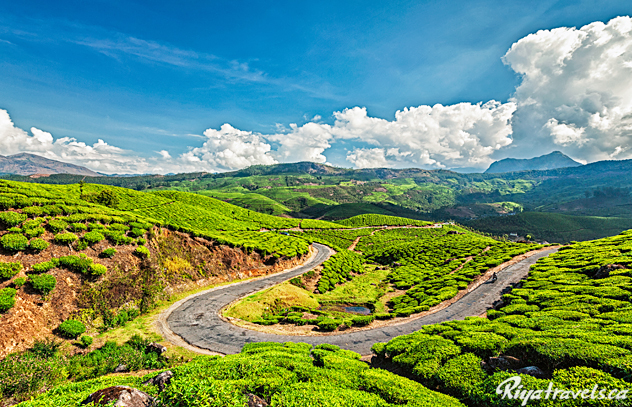 Enjoy Munnar tour and travel packages with Best travel agent in India ...