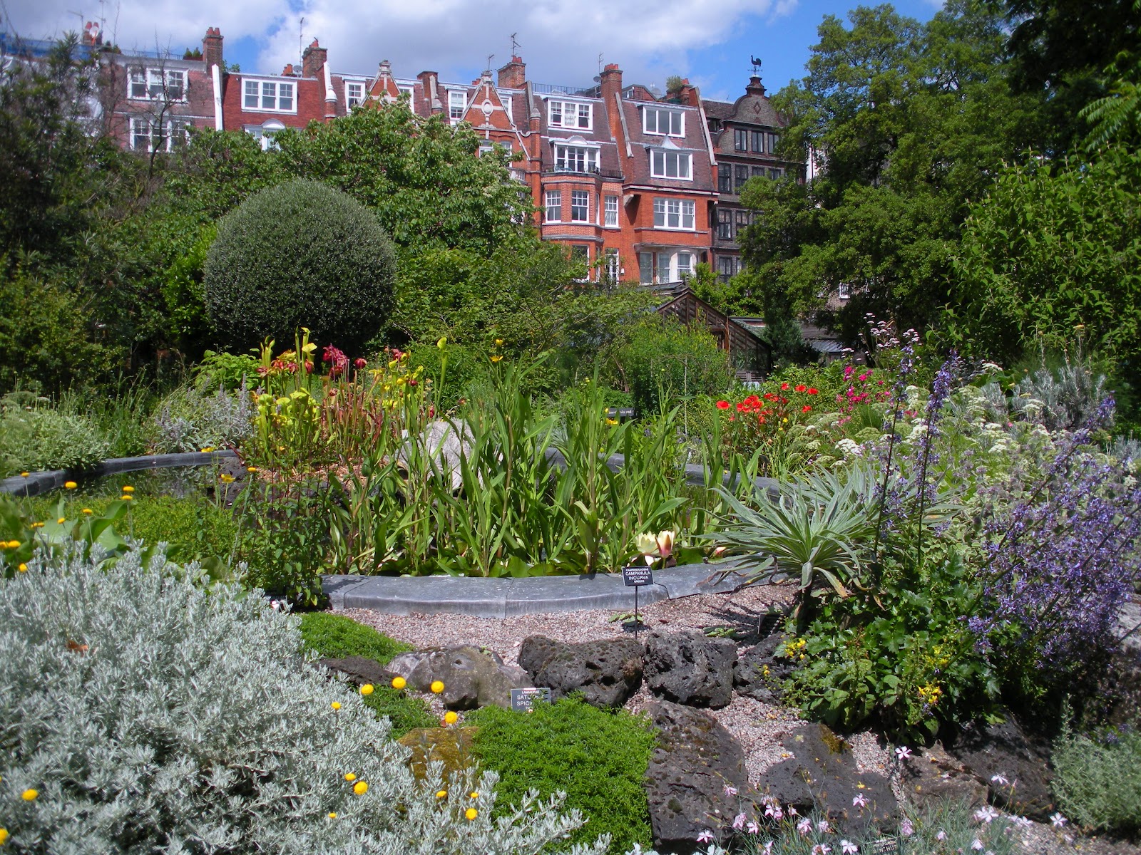 Victoria's backyard: At the Chelsea Physic Garden with a lady from ...