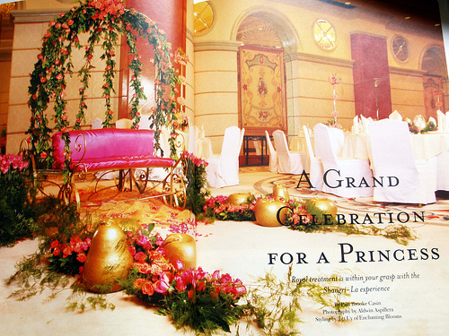 Lonely Shutterbug: Fairy Tale Debut