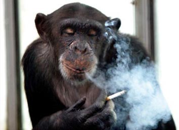 ¡A tu Salud!: Defender la salud