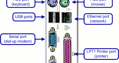 Different Types of computer connectors - IK Studies Series