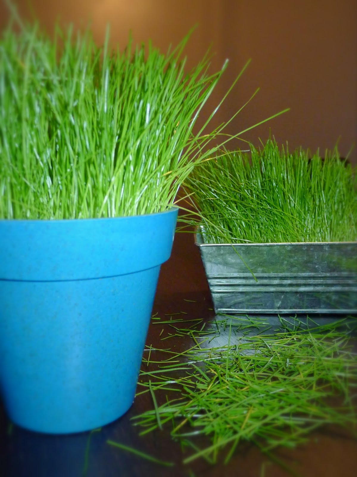 Misc Magenta: Grass Pots