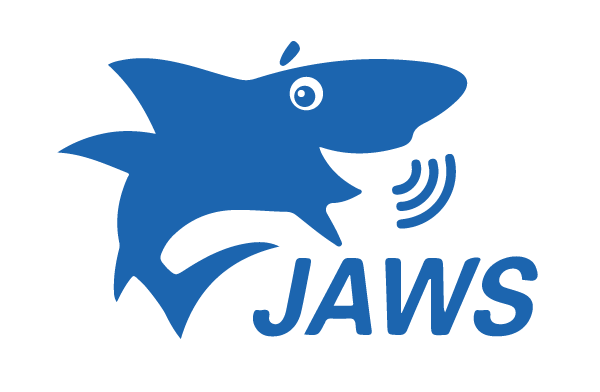 Opciones de accesibilidad JAWS ~ HESIGA