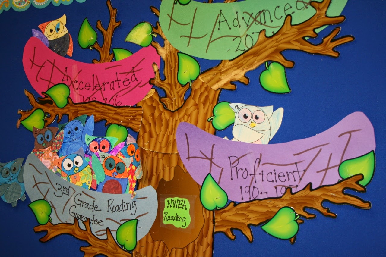 Down the Hall in Room 177: Why Use a Data Wall? Third Grade NWEA MAP ...