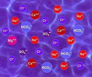 Intercambio de Iones ~ Nocjoc