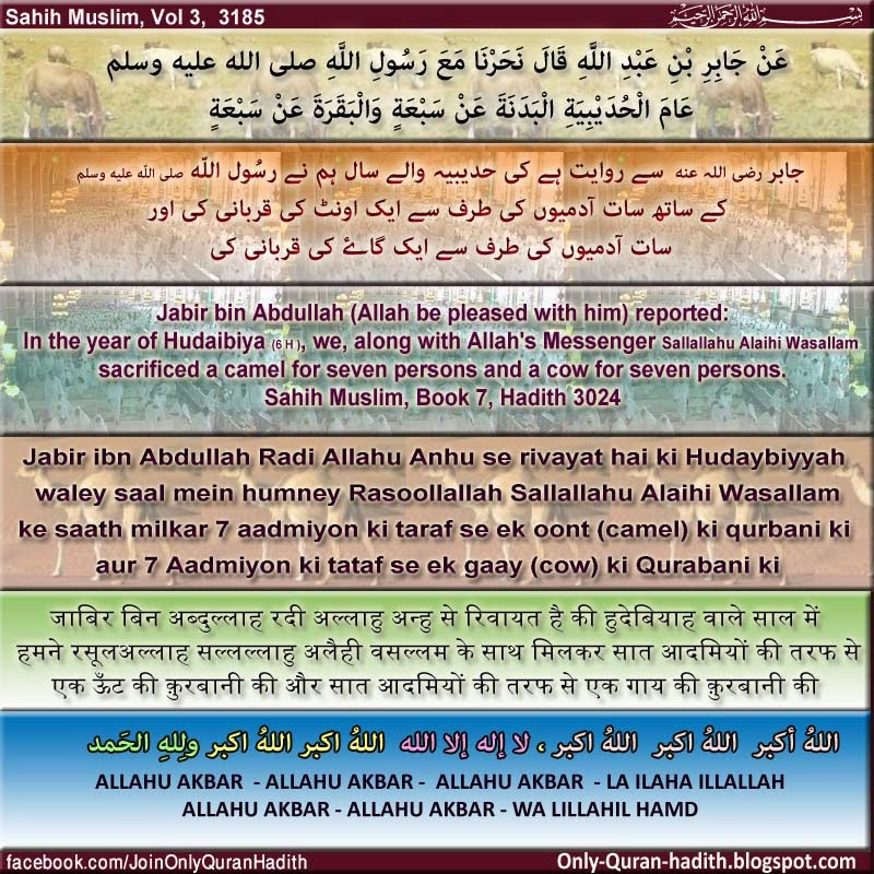 Only-Quran-Hadith: Mafhum-e-Hadith: 7 Aadmiyon ki taraf se ek Gaay (cow ...