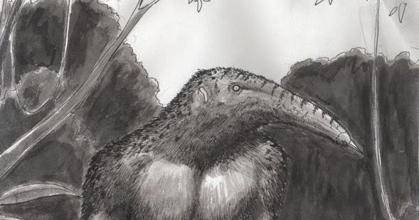 Knight of Hammer: capelobo