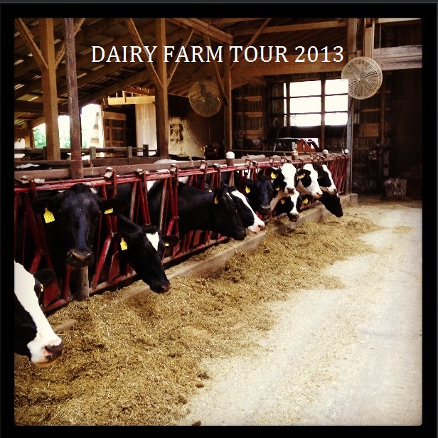 Family of Farmers: Dairy Adventures of an Intern