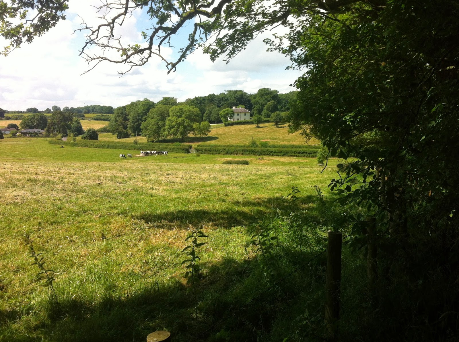 Project Darcy, a green slope, and Steventon Rectory!