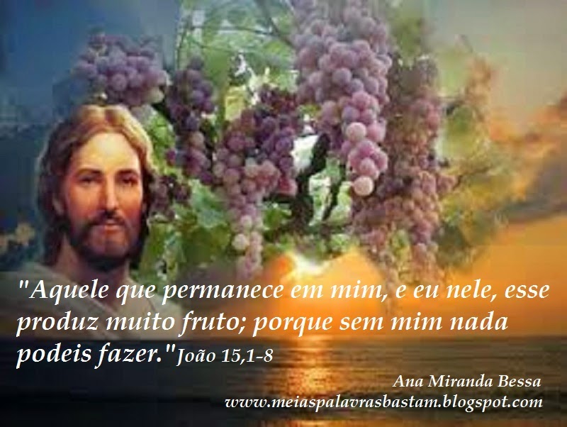 PALAVRA DE DEUS: A VIDEIRA E OS RAMOS - JOÃO 15,1-8 - REFLEXÃO DO PASTOR