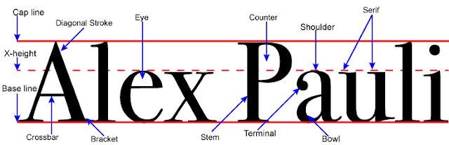 Alex Pauli's e-comm Blogger: Typeface Anatomy