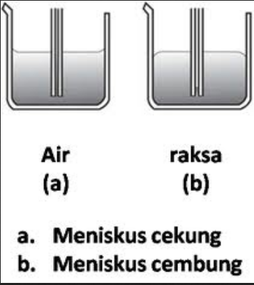 Jenis, Sifat dan Ciri-Ciri Zat Berdasarkan Wujudnya serta Contohnya ...