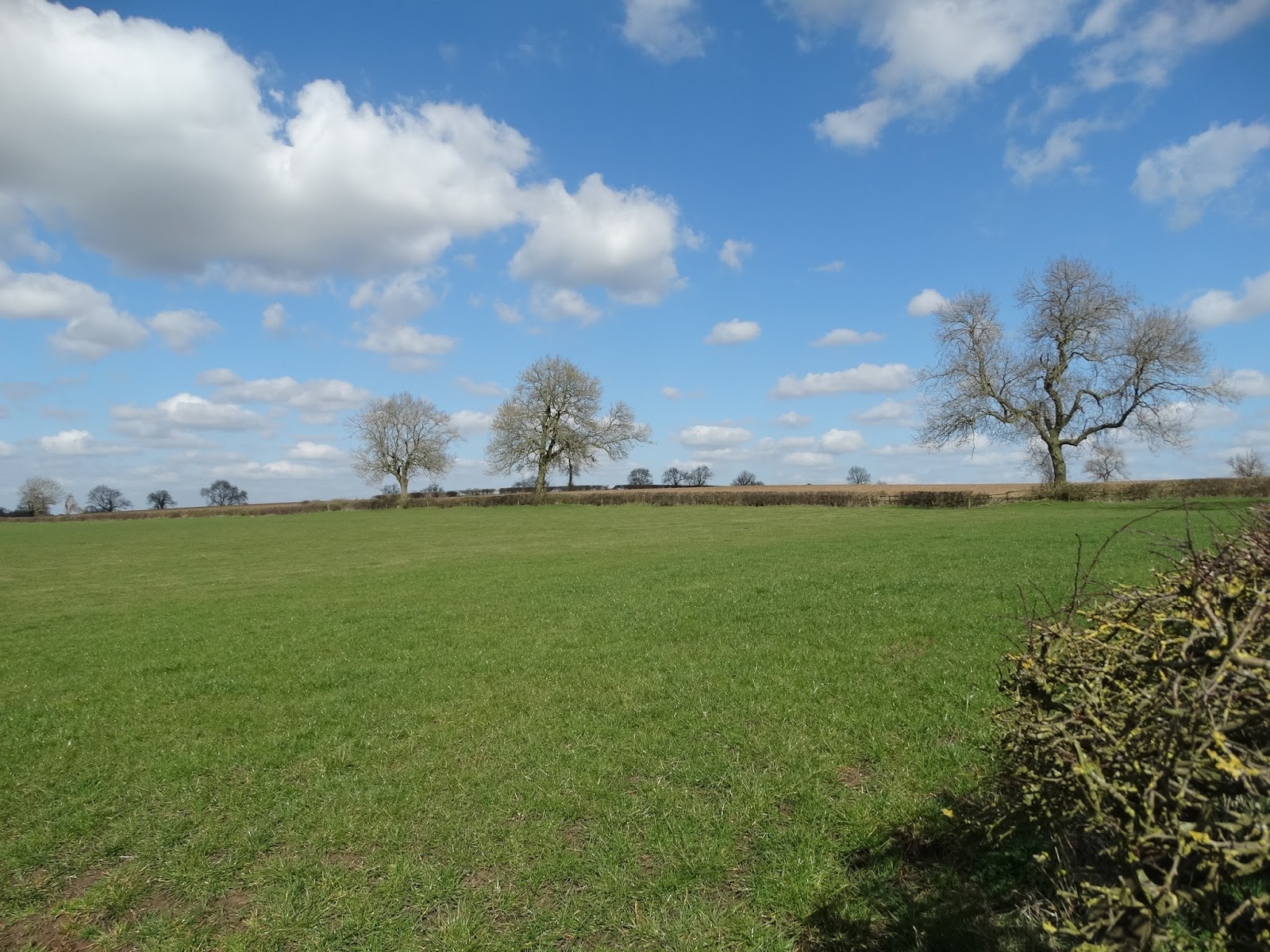 Leicestershire Round Walk 2016: Walk 1 - Dunton Bassett to Bruntingthorpe